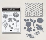 This One is a True Beauty! – Up North Stampin'