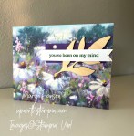 April Paper Pumpkin Kit — Beautiful Scenes & Wooden Elements – Up North ...