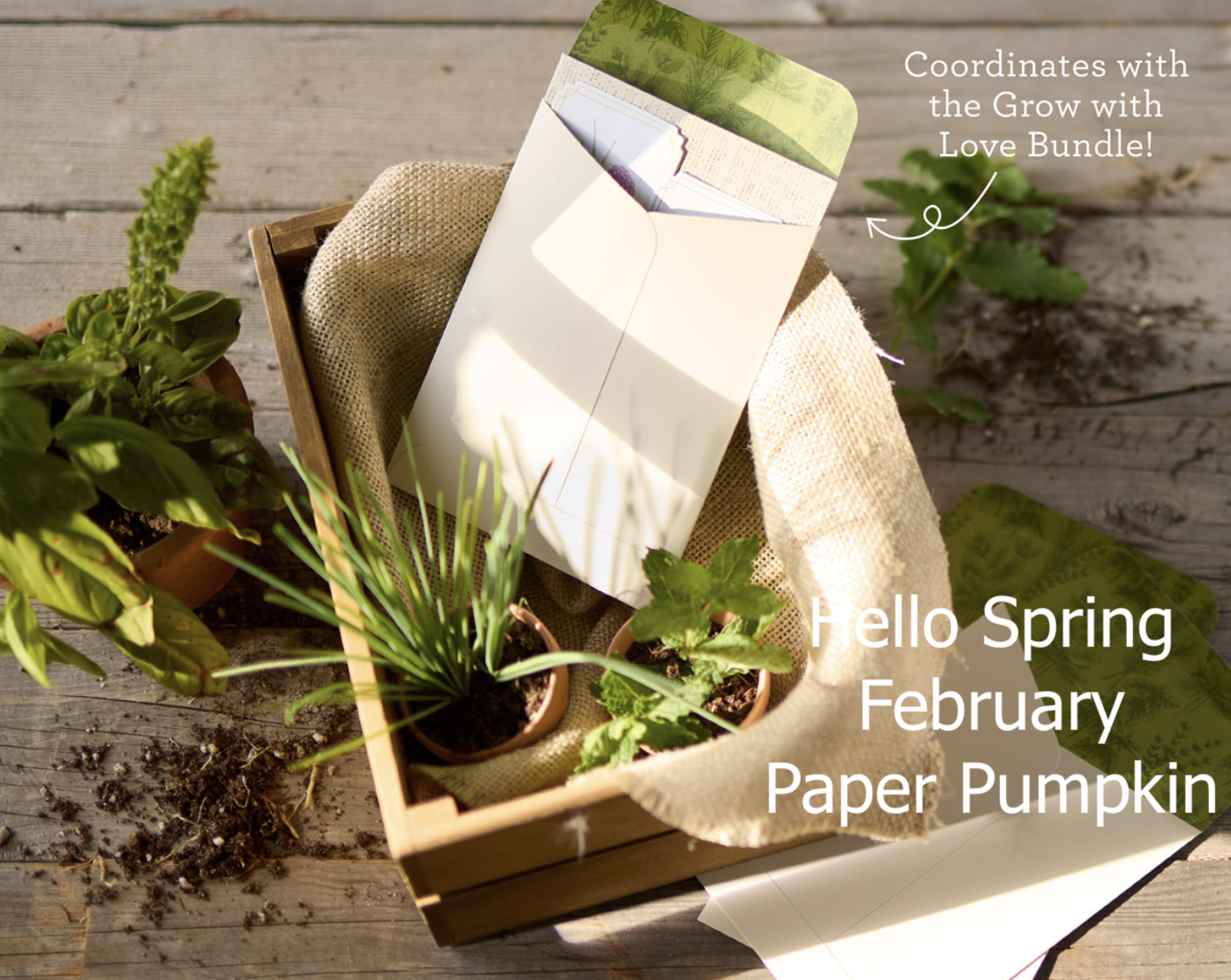 Need More Convincing? The February Paper Pumpkin Kit – Charming! – Up ...