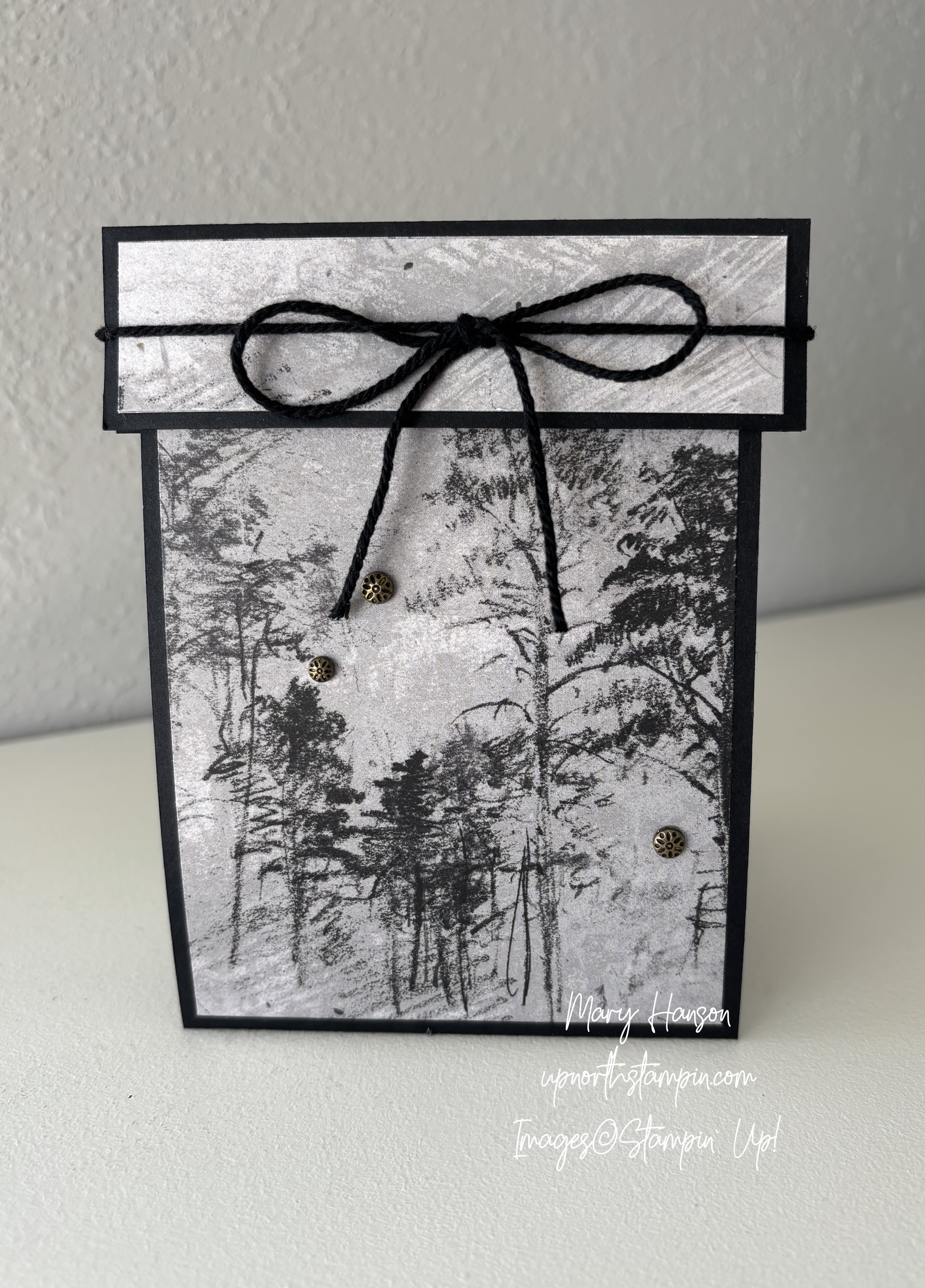 April Pals Blog Hop: Masculine Cards! – Up North Stampin'
